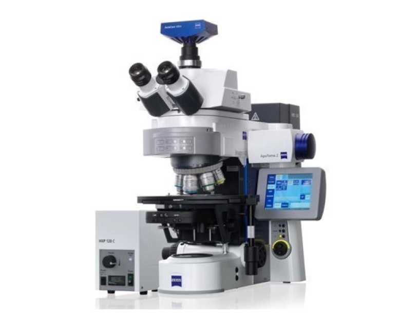 Zeiss Axio ImageM2 Apotome2 | UNSW Mark Wainwright Analytical Centre